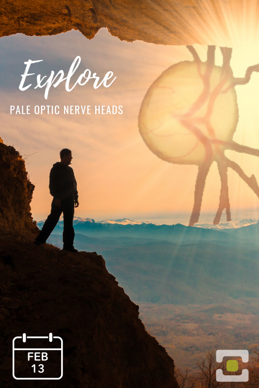 Upcoming Webinars - Centre for Eye Health